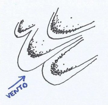 Tipos de dunas: barcanas, parabólicas, estrela, transversais e ...